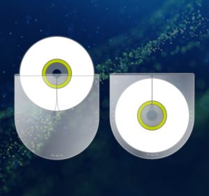 Self Adhesive CD Pocket - Duraweld